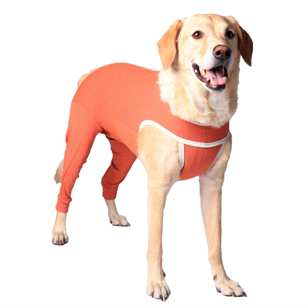 Qué es y cómo funciona el BODYCOBRE? – Grupo Kimba | Textiles ...