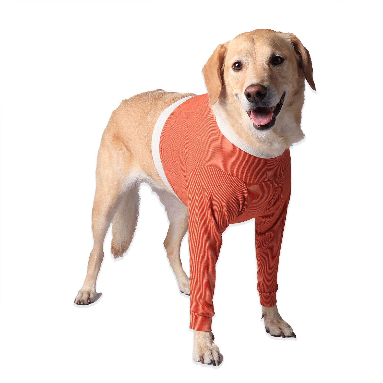 Body Cobre CASTRACIÓN perros machos – Grupo Kimba | Textiles ...