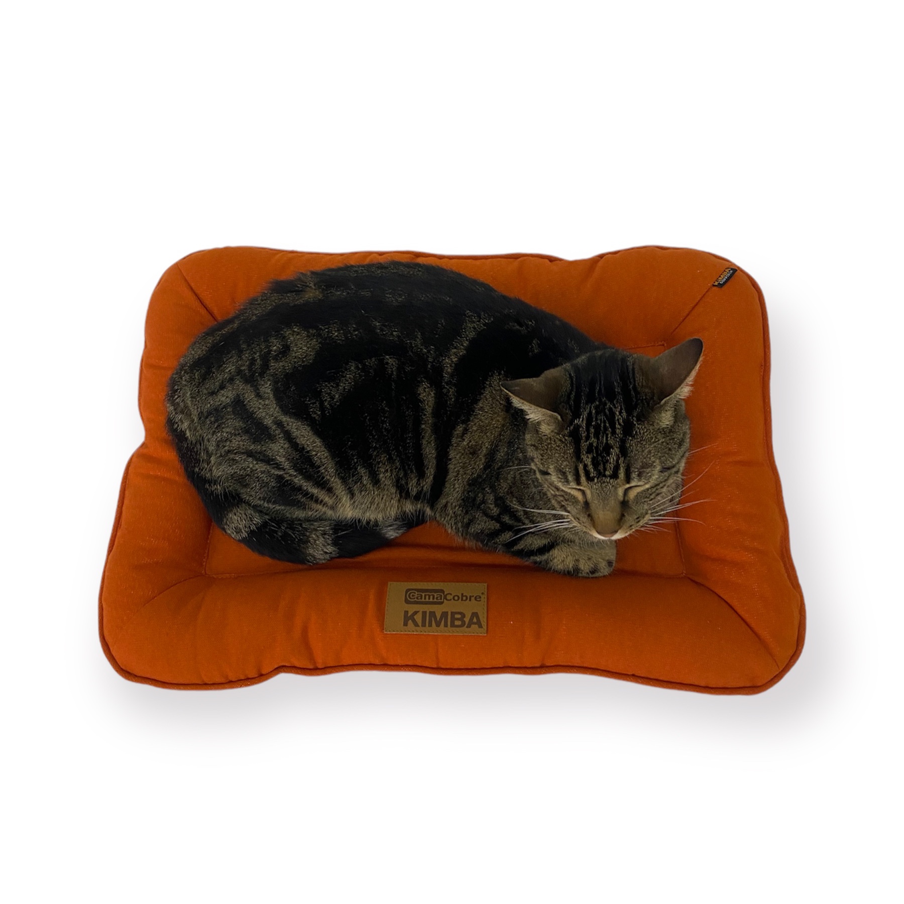 IKAI – SNACK DE SALMÓN PREMIUM PARA GATO – Grupo Kimba | Textiles ...