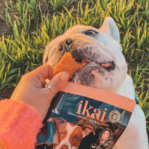 IKAI – SNACK DESHIDRATADO DE SALMÓN PREMIUM PARA PERROS – Grupo Kimba ...