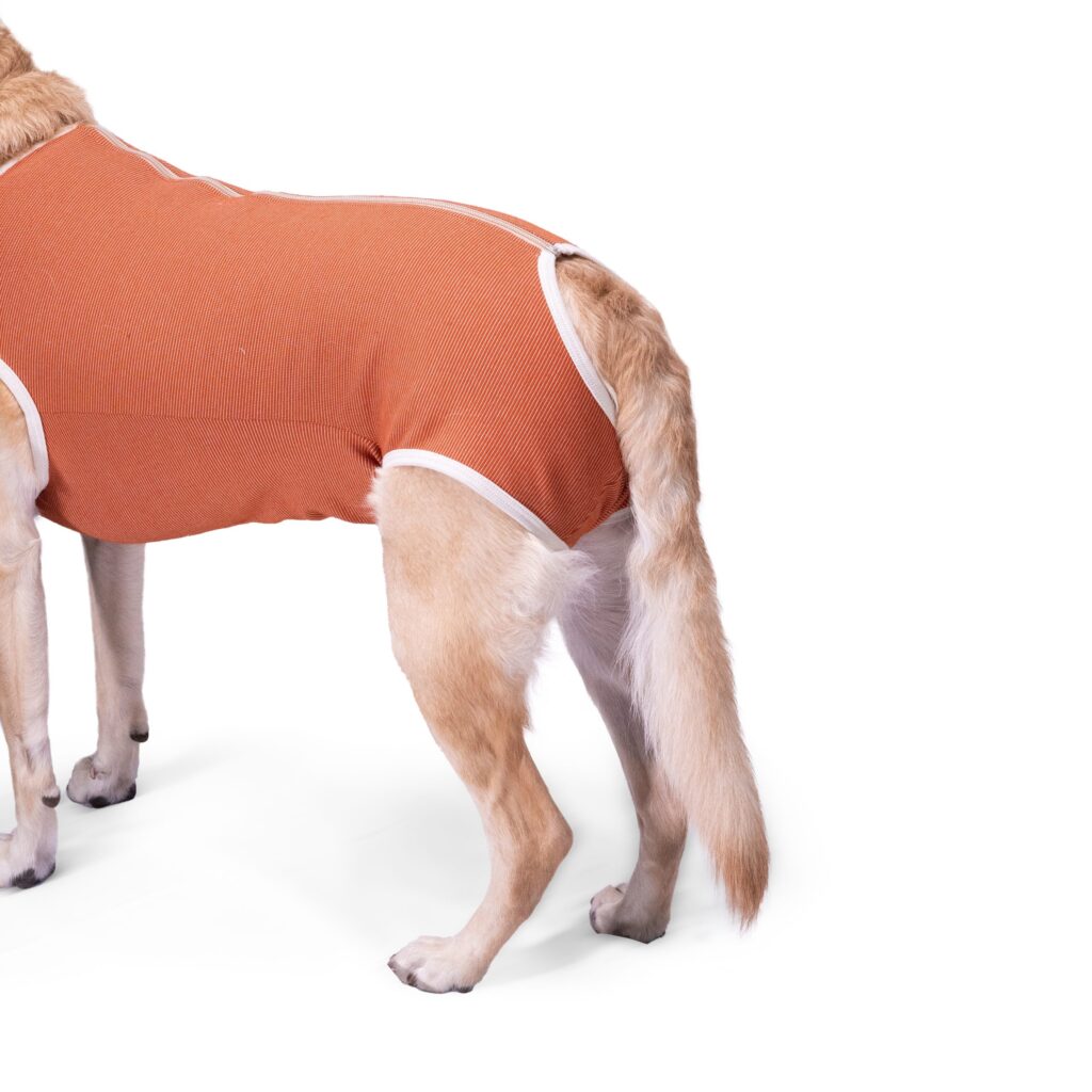BodyCobre® CASTRACIÓN Postoperatorio (perros machos)