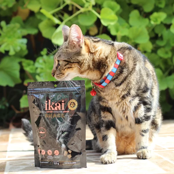 IKAI – SNACK DE SALM??N PREMIUM PARA GATO – Grupo Kimba | Textiles ...