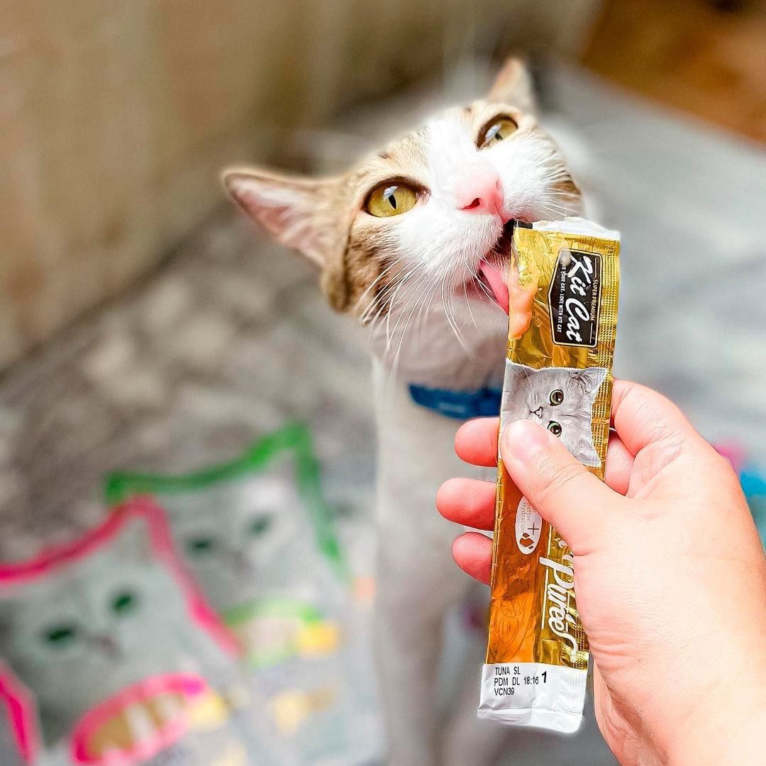 KIT CAT – COLLAGEN CARE – Grupo Kimba | Textiles Antimicrobianos