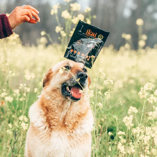 IKAI – SNACK DE SALM??N PREMIUM PARA PERRO – Grupo Kimba | Textiles ...
